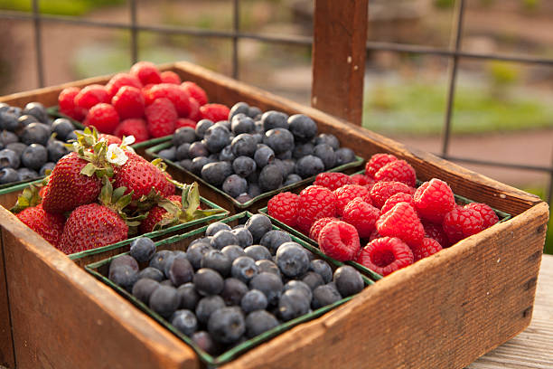 Lumar Foods – A Passion for Food